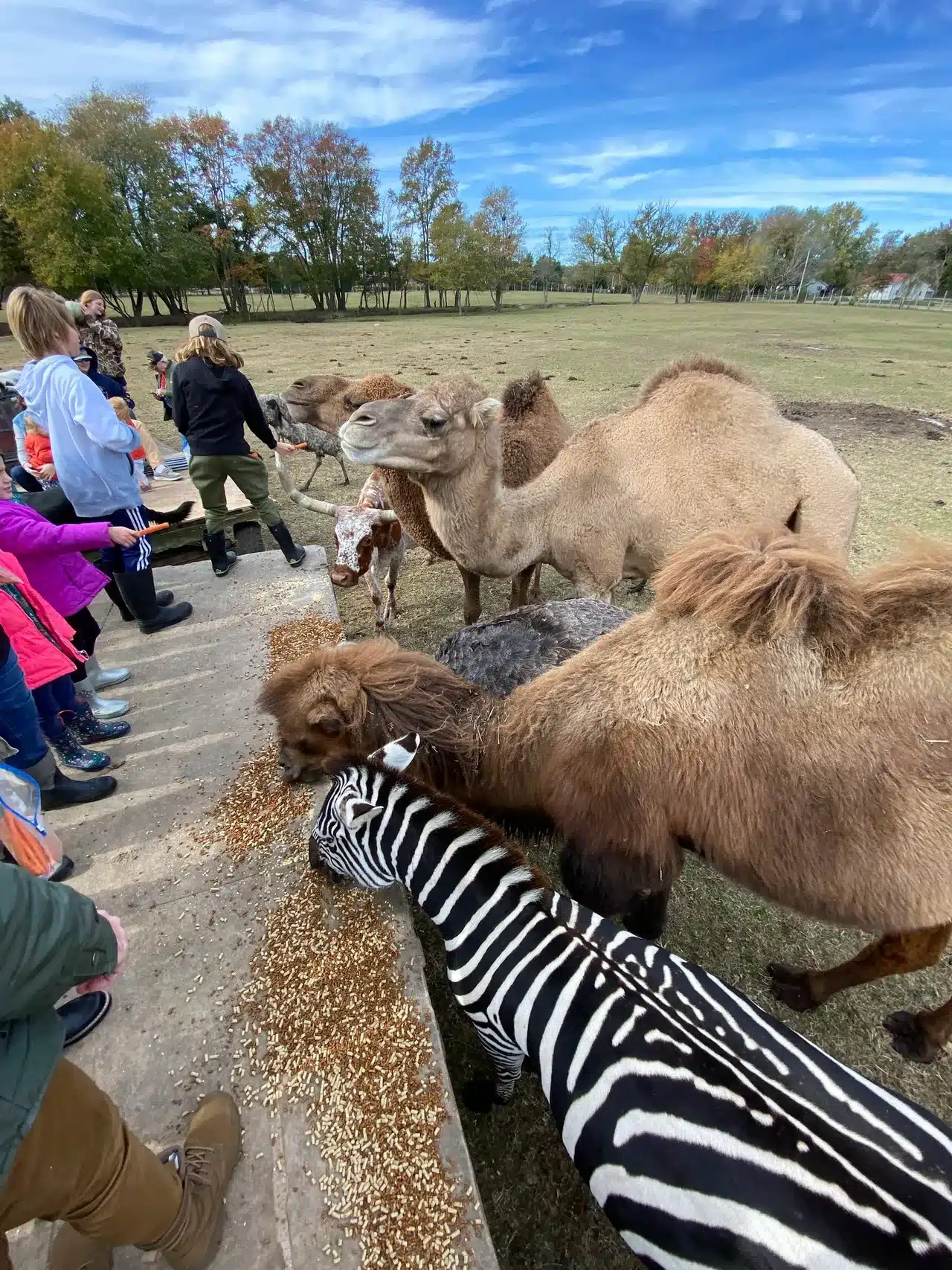 Denton Animal Rescue: Worth the Drive! - Annapolis Moms