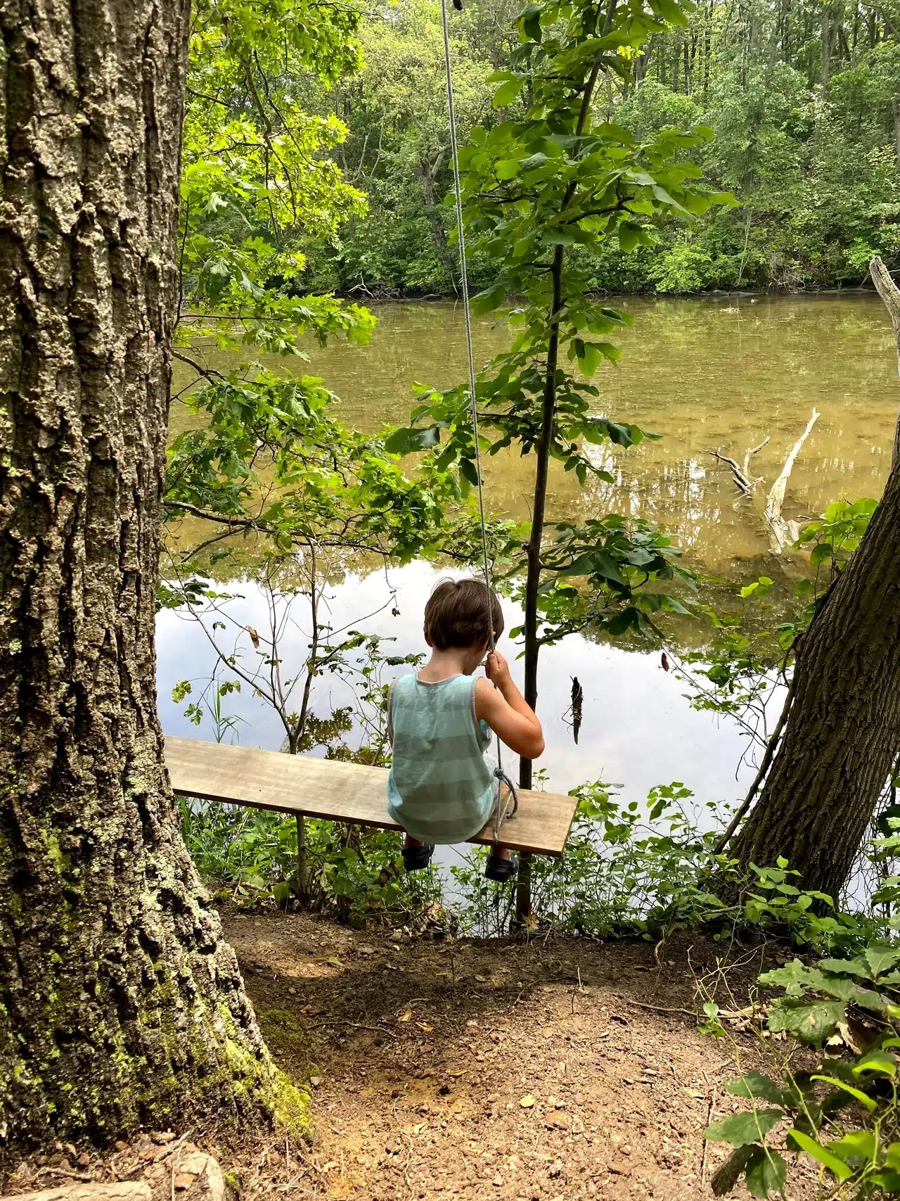 A Hidden Gem: Spriggs Farm - Annapolis Moms